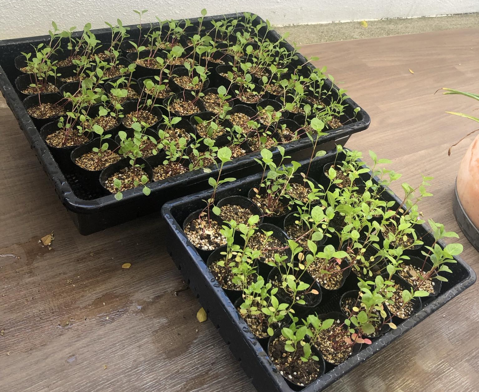 20240517_2 | 竹田被服